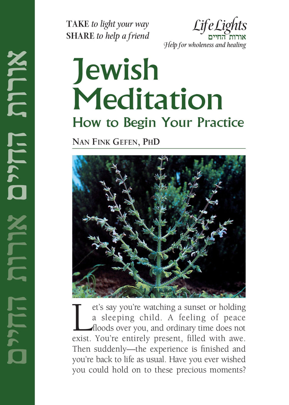 Jewish Meditation (12 pk) — Turner Publishing