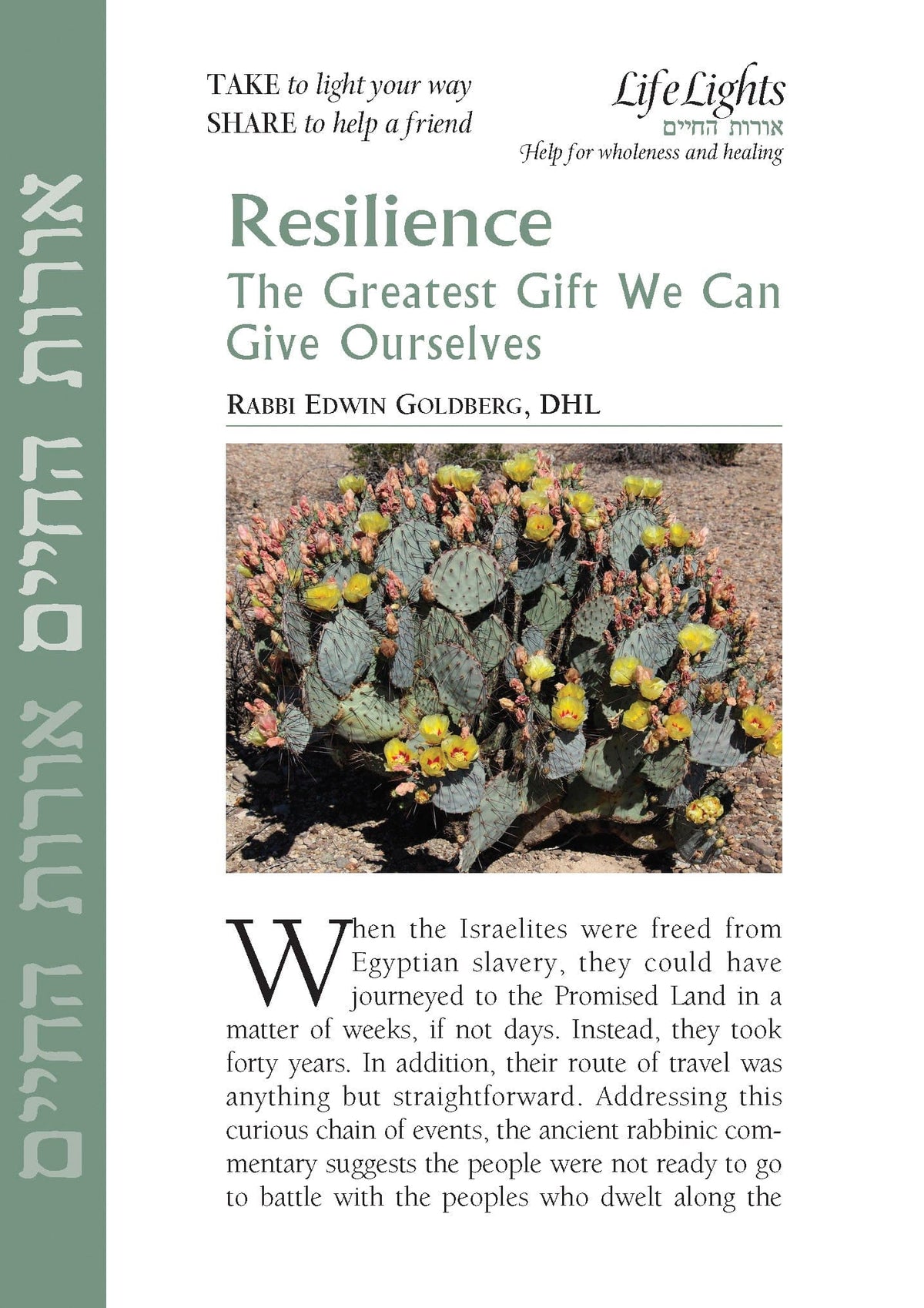 Resilience (12 pk) — Turner Publishing