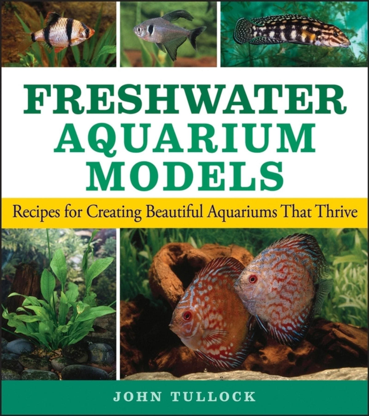 Freshwater Aquarium Models: Recipes for Creating Beautiful Aquariums T ...