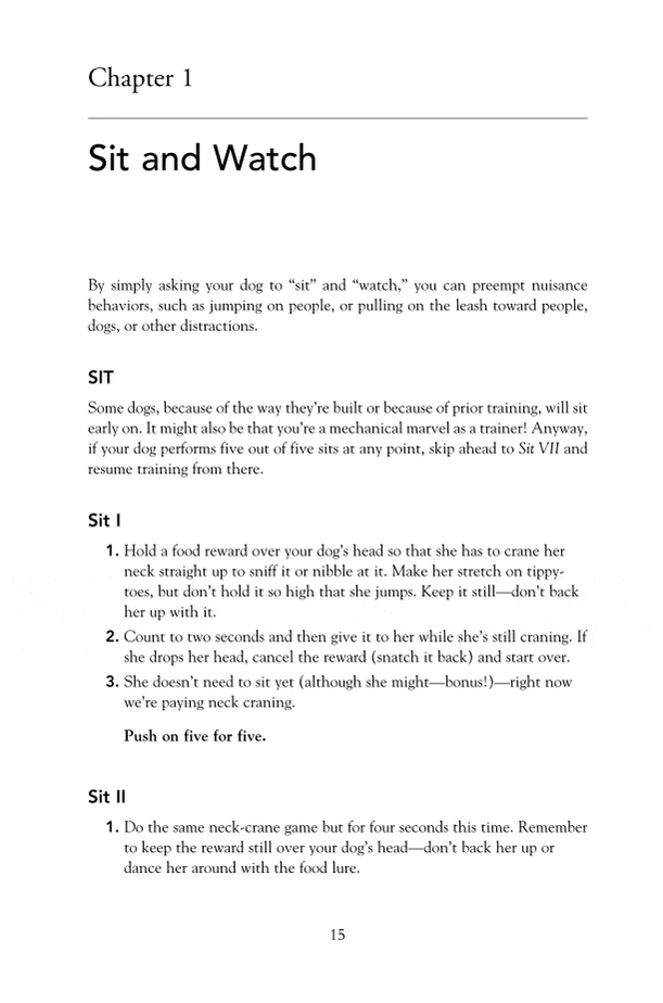 Train Your Dog Like a Pro — Turner Publishing