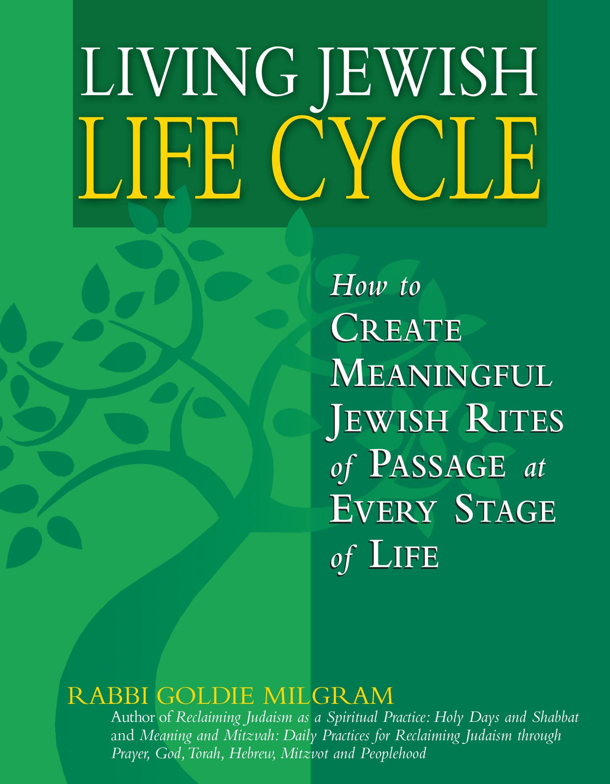 Living Jewish Life Cycle: How to Create Meaningful Jewish Rites of Pas ...