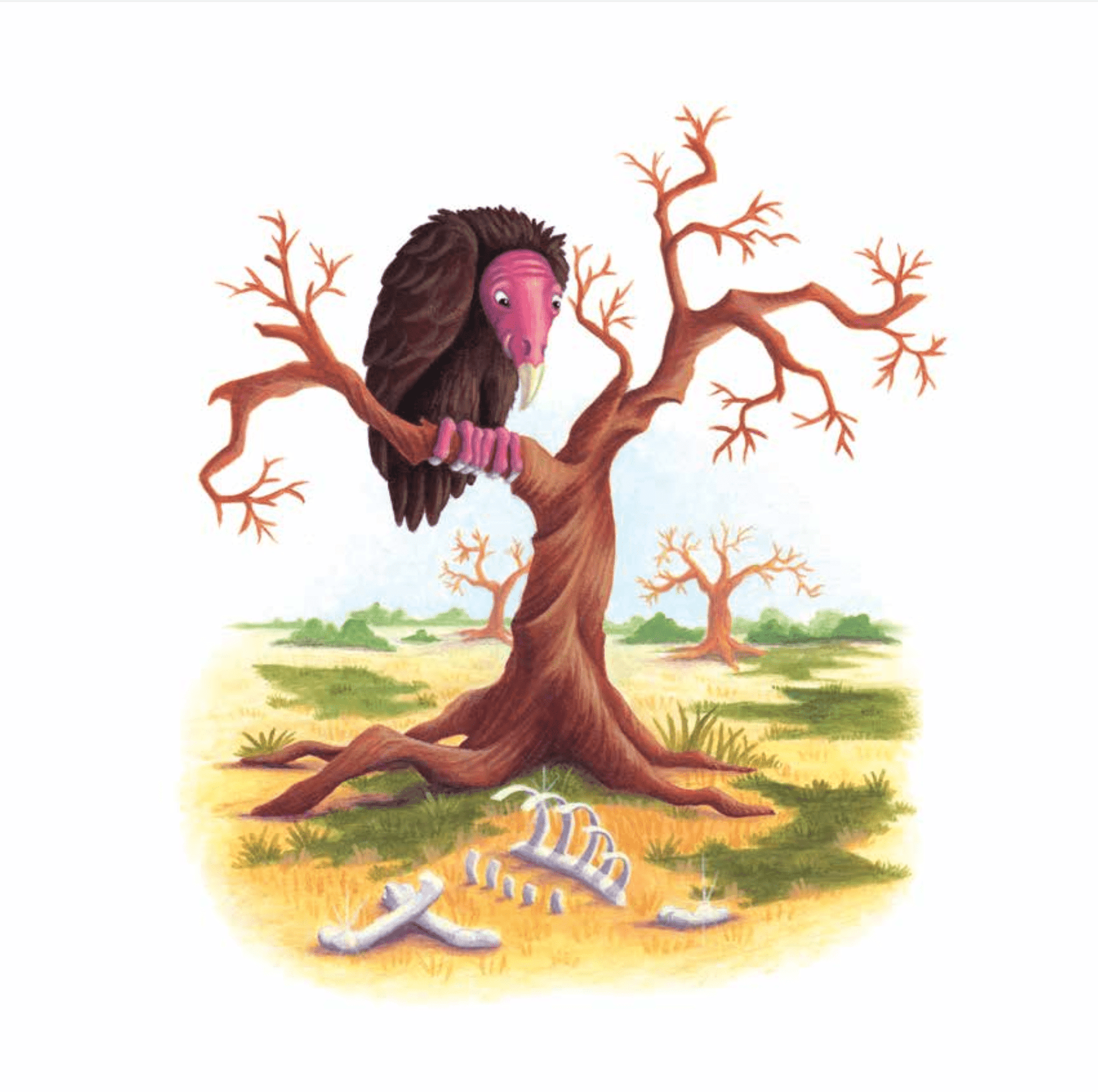 Vulture Verses: Love Poems for the Unloved — Turner Publishing