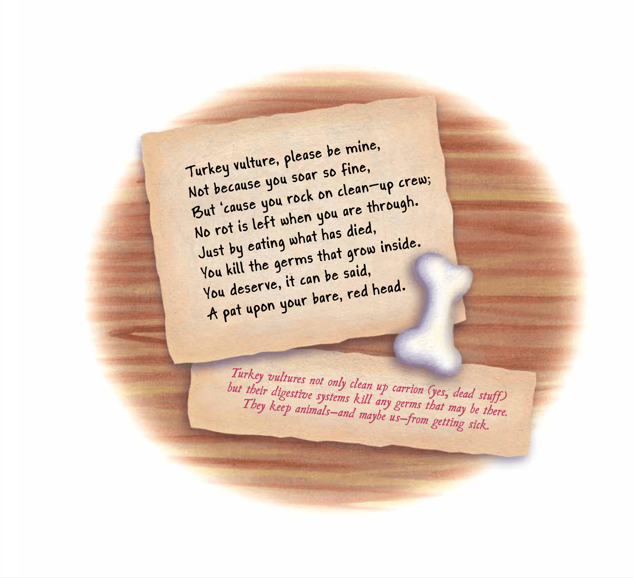 Vulture Verses: Love Poems for the Unloved — Turner Publishing