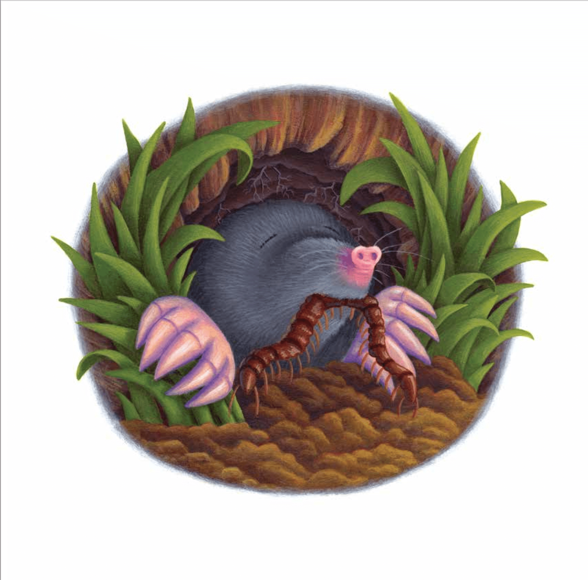 Vulture Verses: Love Poems for the Unloved — Turner Publishing