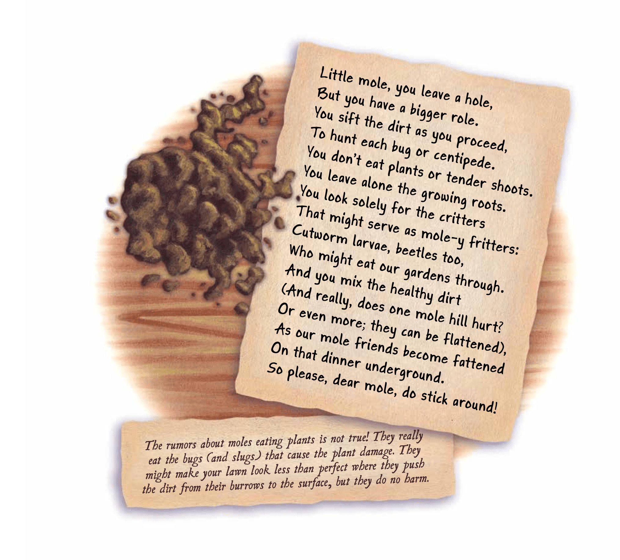 Vulture Verses: Love Poems for the Unloved — Turner Publishing